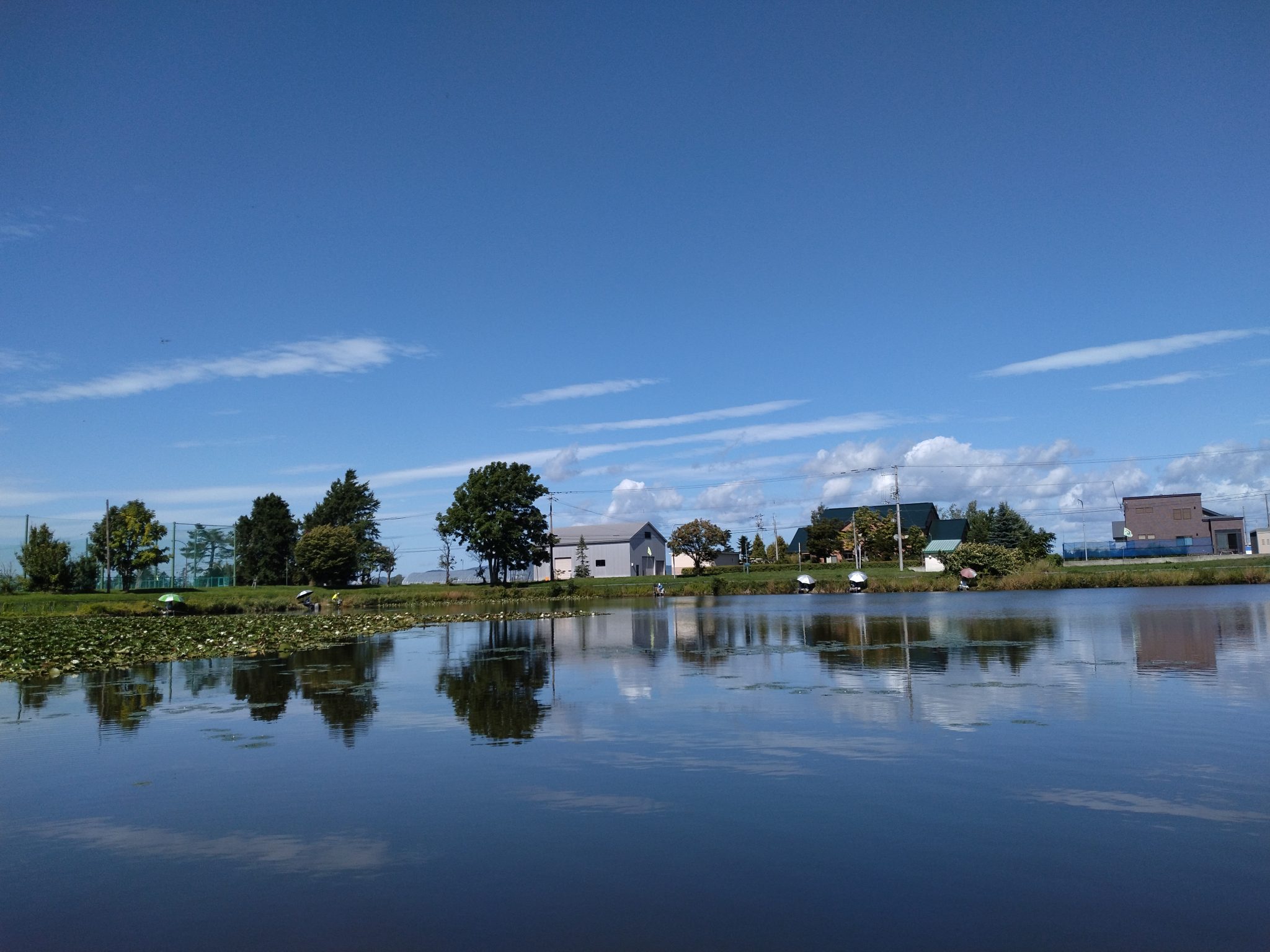 第9戦 北村へらぶな公園・ふれあい公園 | 北海道野べら釣研究会公式ホームページ