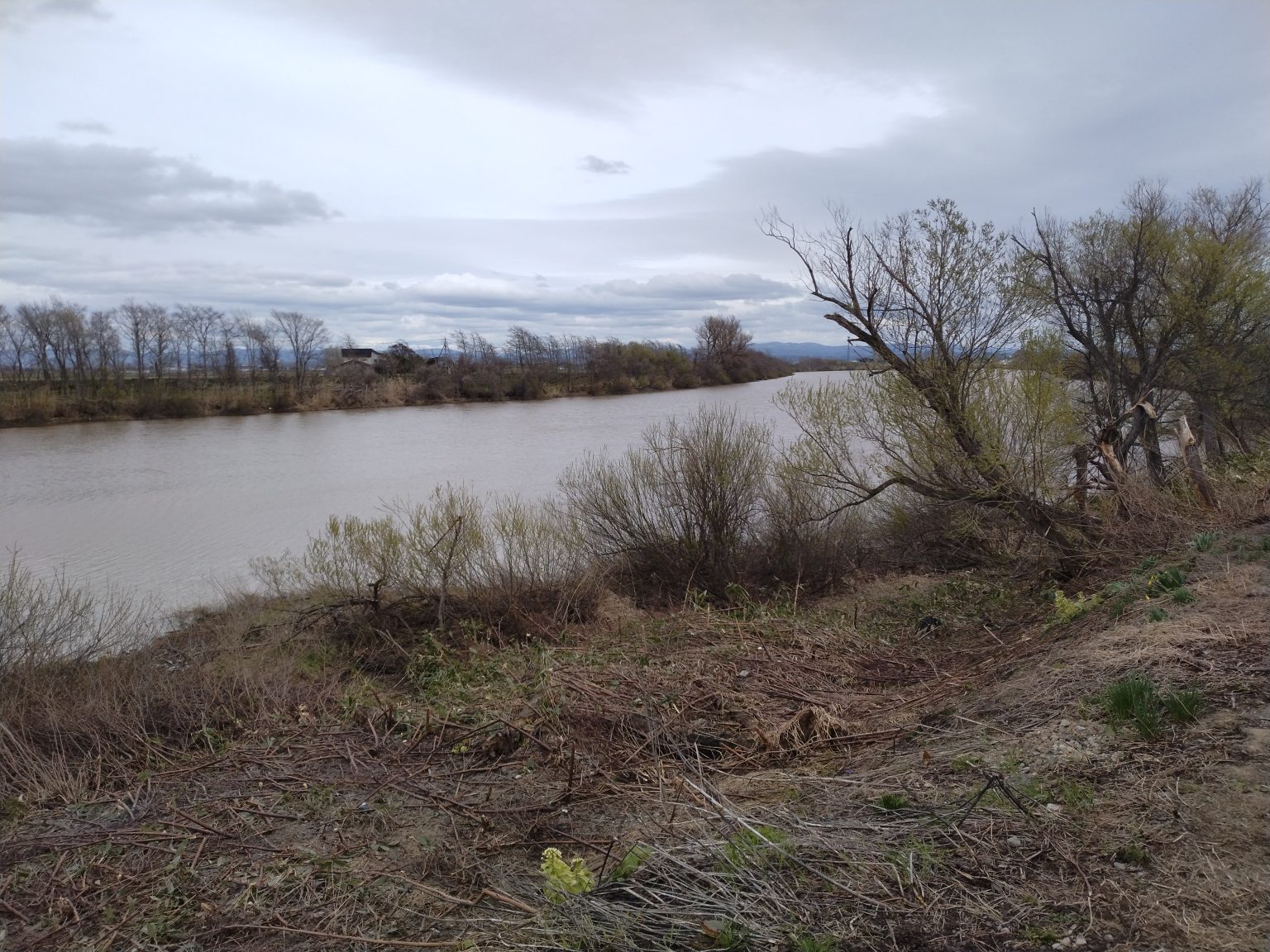2025開幕戦 巴沼 | 北海道野べら釣研究会公式ホームページ