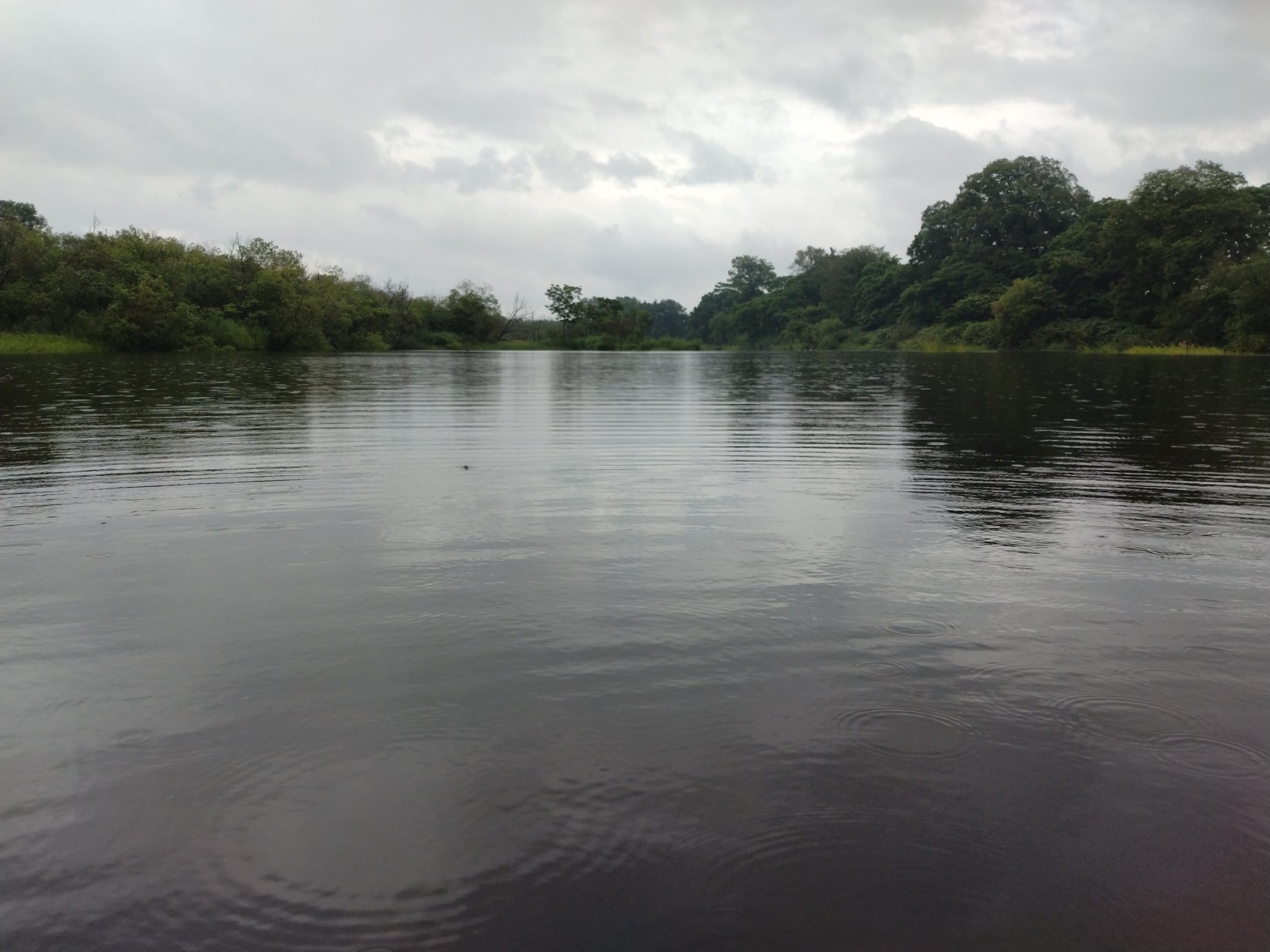 第7戦 月形町皆楽公園(夏) | 北海道野べら釣研究会公式ホームページ