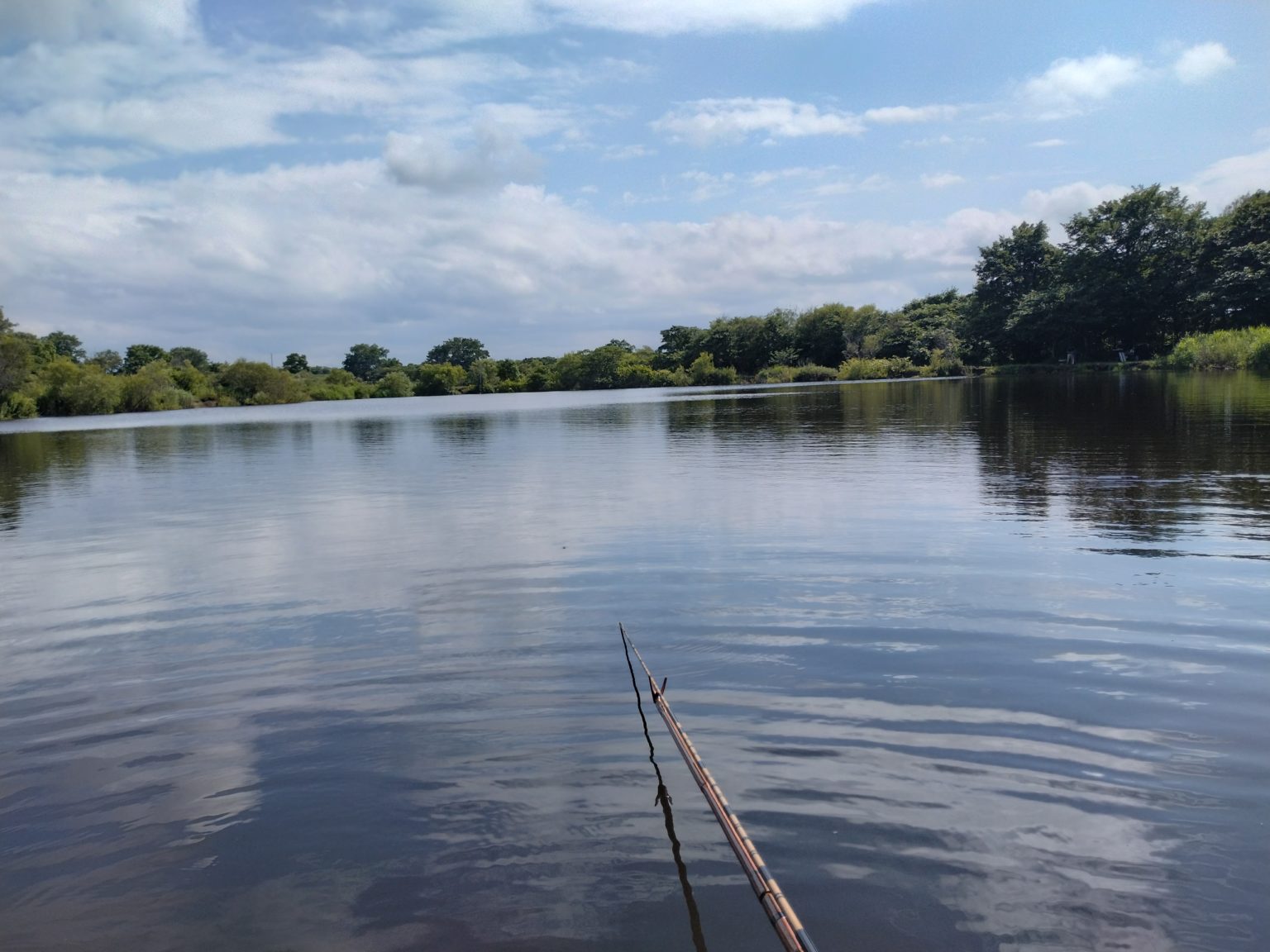 雨上がりのスナトリ | 北海道野べら釣研究会公式ホームページ