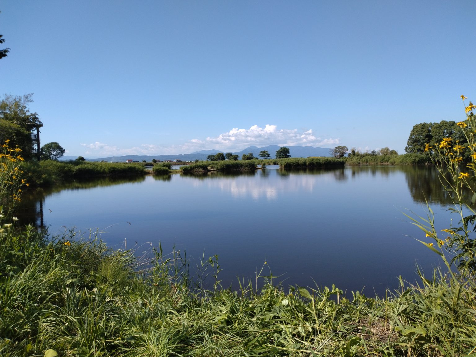第8戦 北村へらぶな公園・ふれあい公園(盛夏) | 北海道野べら釣研究会公式ホームページ